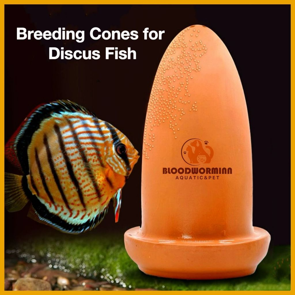 Ceramic Breeding Cone for Discus Fish and Angelfish Fish 七彩鱼紫沙桶（READY ...
