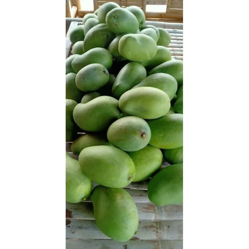 Mangga Harum Manis Perlis 3kg (terhad) | Shopee Malaysia