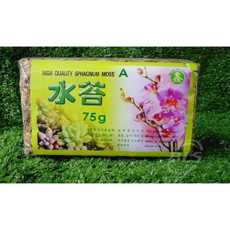 High gred sphagnum moss/lumut/水苔 | Shopee Malaysia