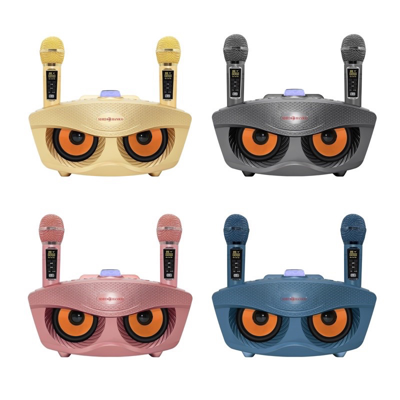 SDRD 306 PROMAX FAMILY BLUETOOTH KARAOKE SPEAKER WITH 2 WIRELESS ...