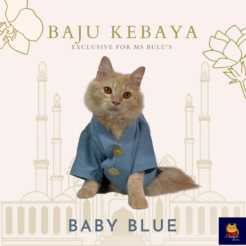[Ready Stock Raya 2025] Baju Raya , Baju Kebaya Kucing + Kain Batik ...