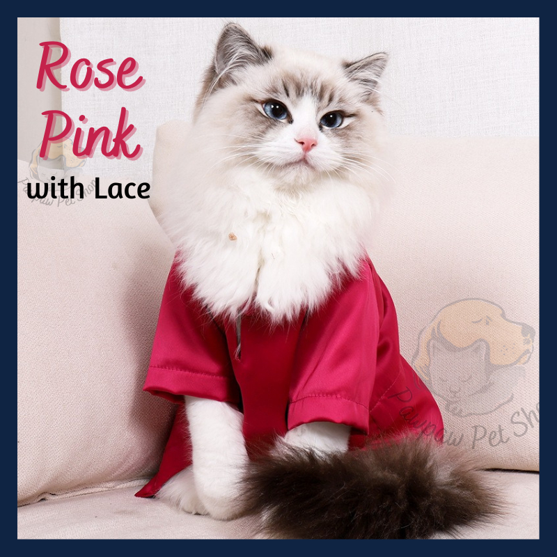 Pawpaw Cat Clothes Shirt Baju Raya Kucing Baju Melayu Kurung untuk ...