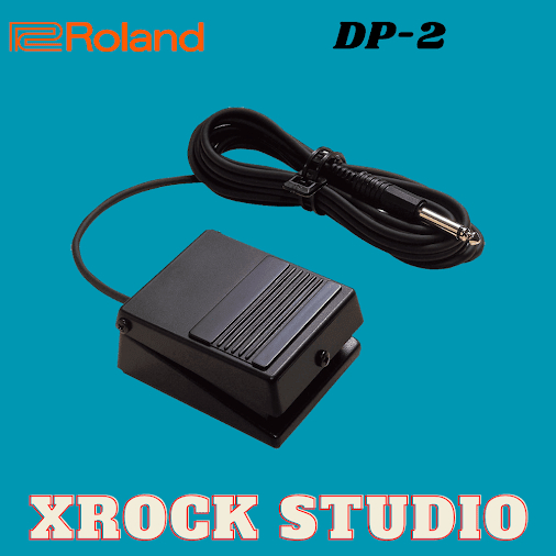 Roland DP-2 Keyboard/Piano Damper Pedal (DP2) | Shopee Malaysia