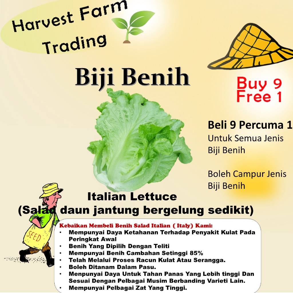biji benih sayur sayuran pelbagai bunga vegetable seed bibit anak pokok ...