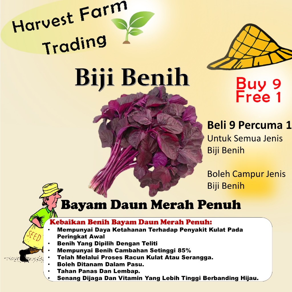 biji benih sayur sayuran pelbagai bunga vegetable seed bibit anak pokok ...