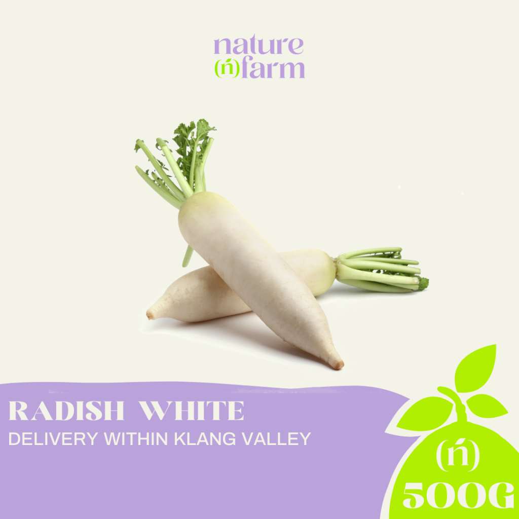 Nature Farm Radish White (500G/PKT) | Shopee Malaysia