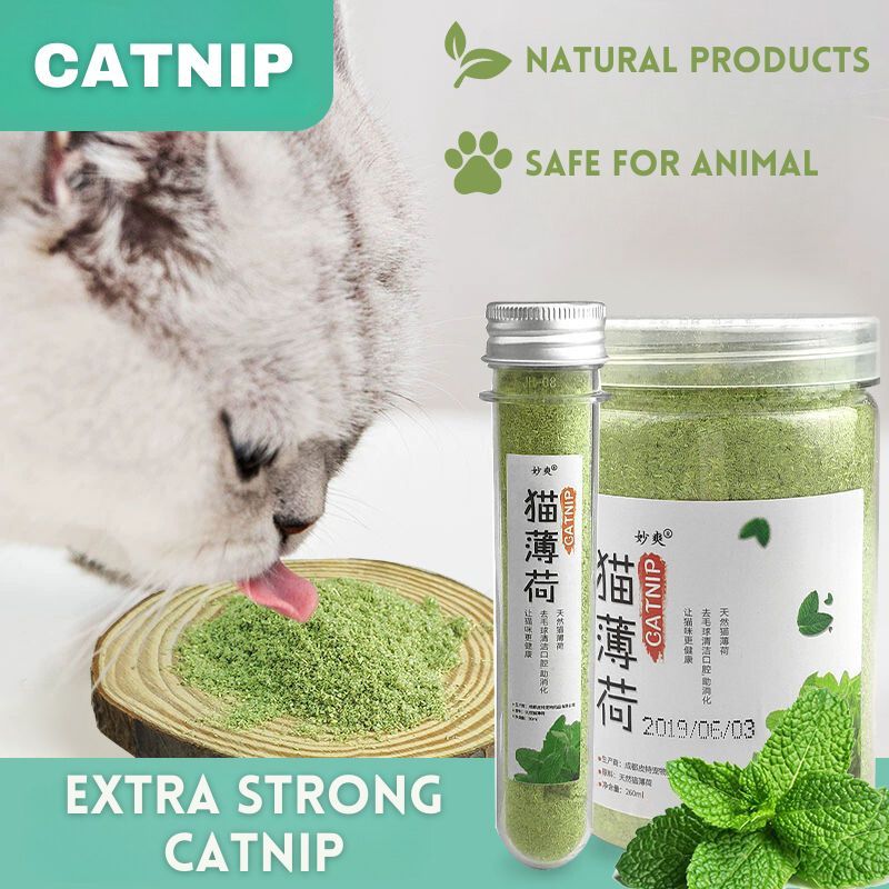 Catnip Powder Murah Cat Mint Powder Catnip Treat Cat Treats Catnip Food ...