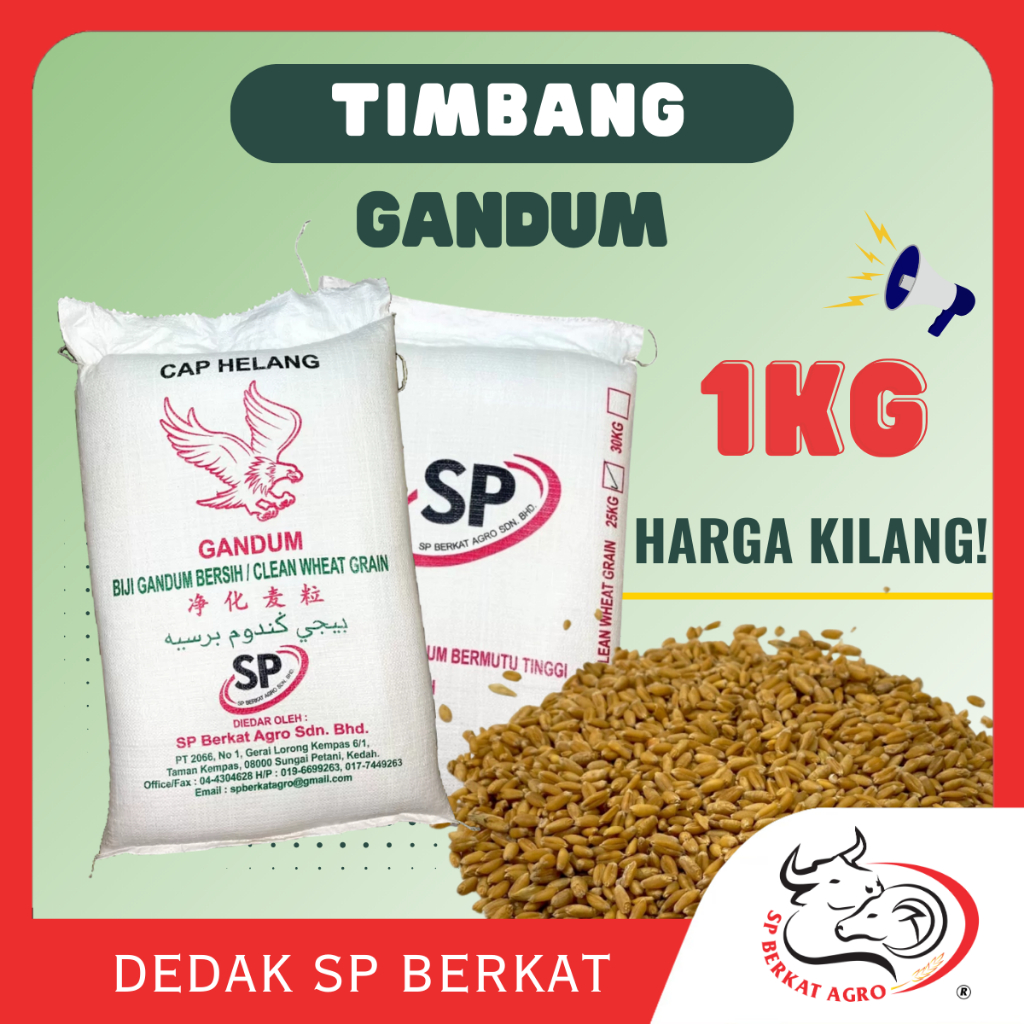 Gandum Makanan Haiwan Wheat Bird Pet Food Feeder Biji Gandum Ayam ...