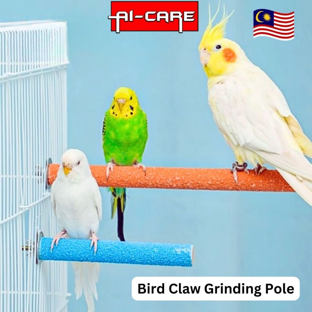 Bird Claw Grinding Pole Parrot Rough Solid Wood Perch Stand Colourful ...