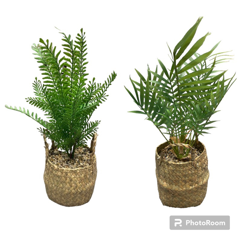 #9 [READY STOCK] Kaison Artificial Plant / Pokok Hiasan Kaison ( basket ...