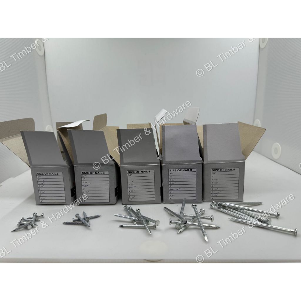 100G Concrete Nail | Point Tip Wall Nail | Wall Nail | Paku Simen ...