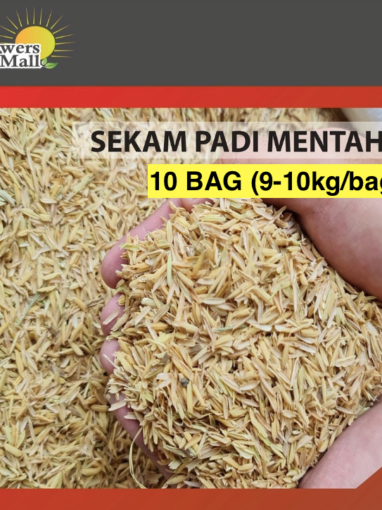 SEKAM PADI MENTAH / RICE HUSK for growing media / fertilizer, 100litre ...
