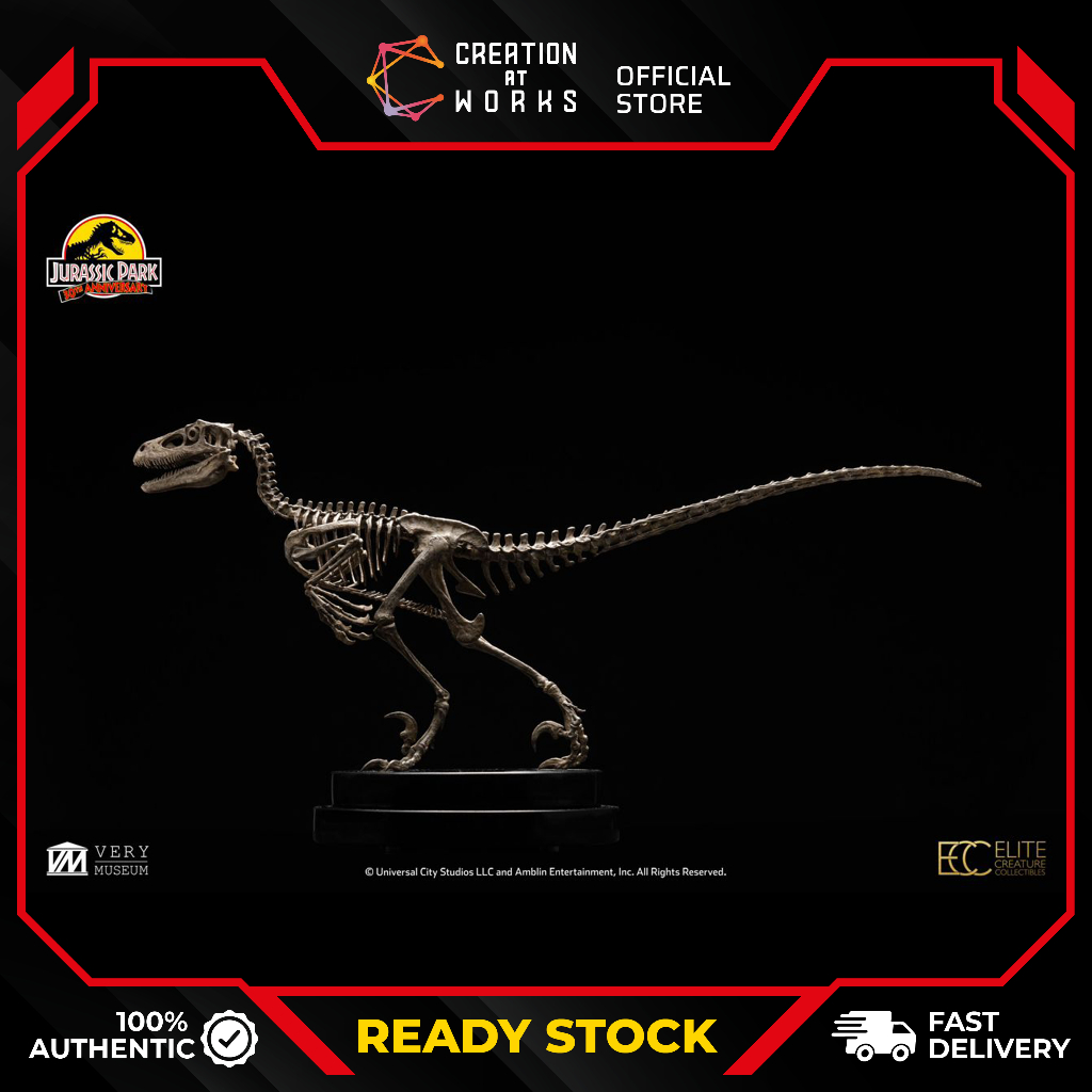 ECC: Jurassic Park Velociraptor Bronze Skeleton 1/8 Scale Statue Raptor ...