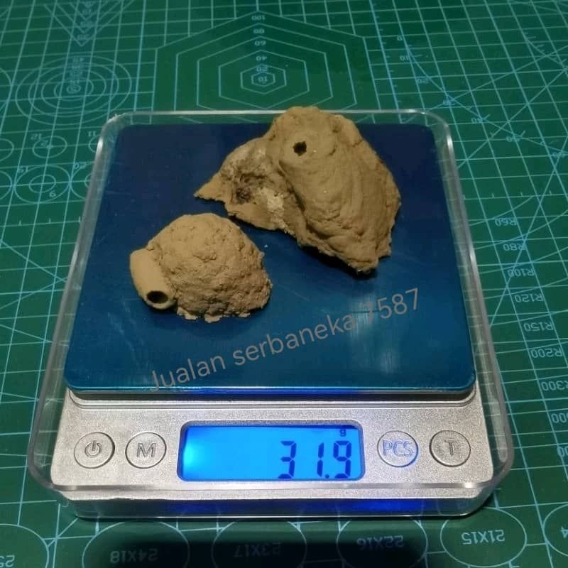 sarang angkut angkut | Shopee Malaysia