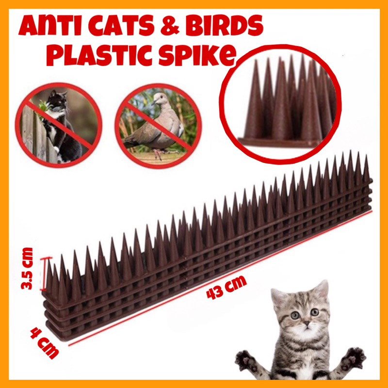 Plastic Anti Cat Bird Spike/Cat Repellent/Animal Pest Control ...