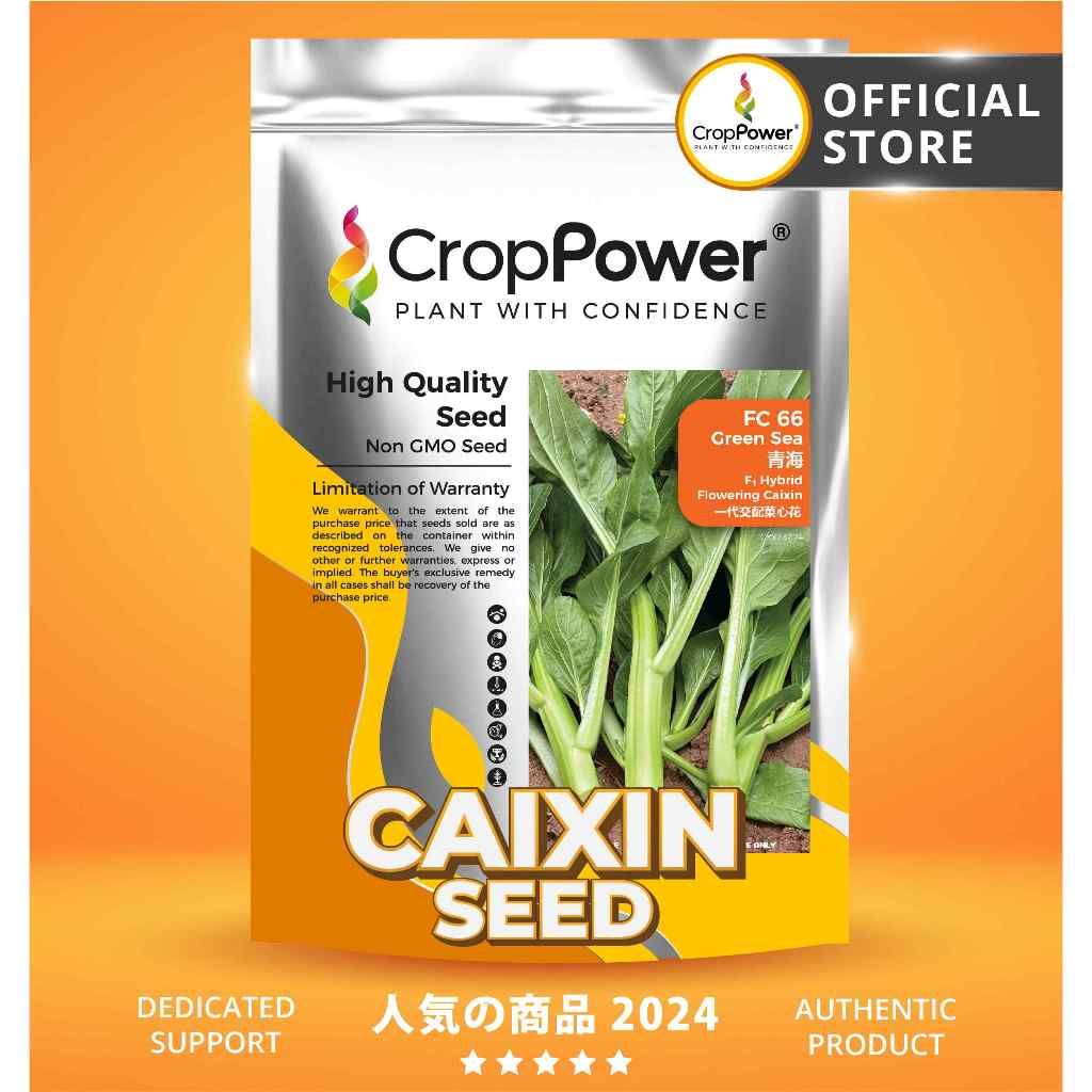(500 GRAM) Biji Benih Sawi Bunga Hong Kong Green Sea 青海 FC66 CROP POWER ...