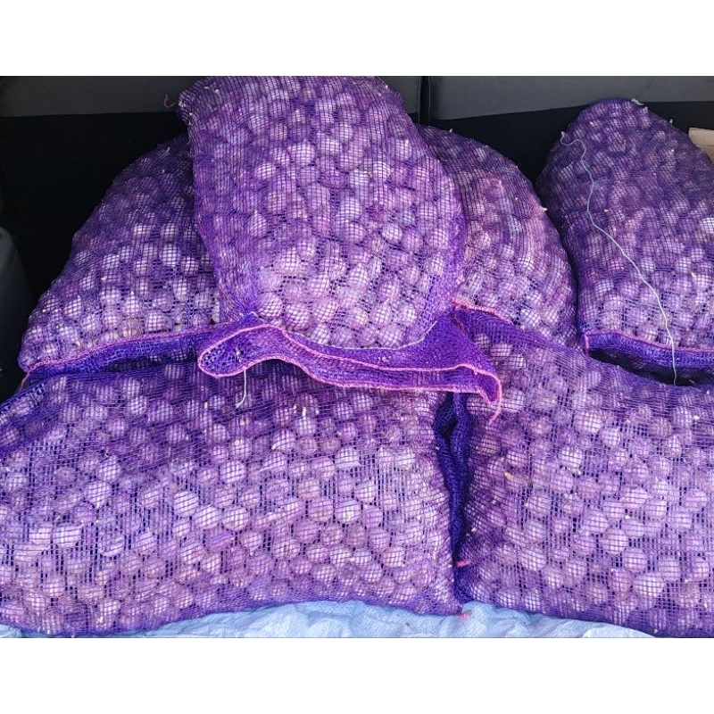 Bawang Putih Tunggal Seguni Fresh From Thailand 9.5kg-10kg (PM UTK ...