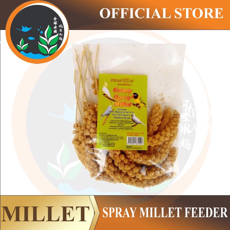 Emas 10 Gaiety Spray Millet Bird feed For Parrots/Love bird/ Budgi ...