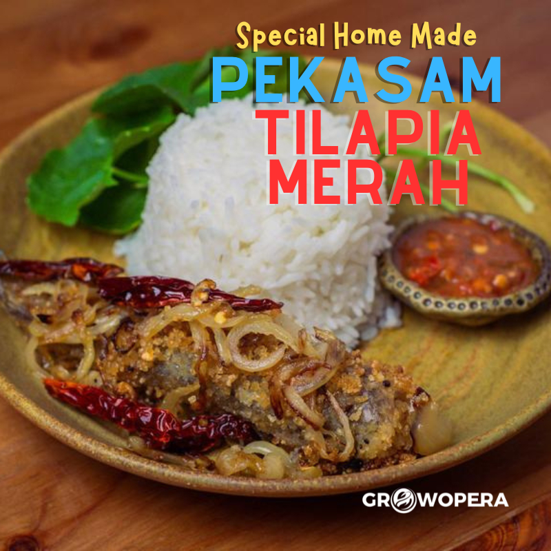 Pekasam Tilapia Merah Biofloc Home Made 300g | Shopee Malaysia