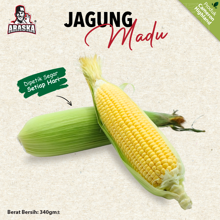 Jagung Madu AA🌽 【Cameron Highlands】9 pcs Sweet Corn | Produck Cameron ...