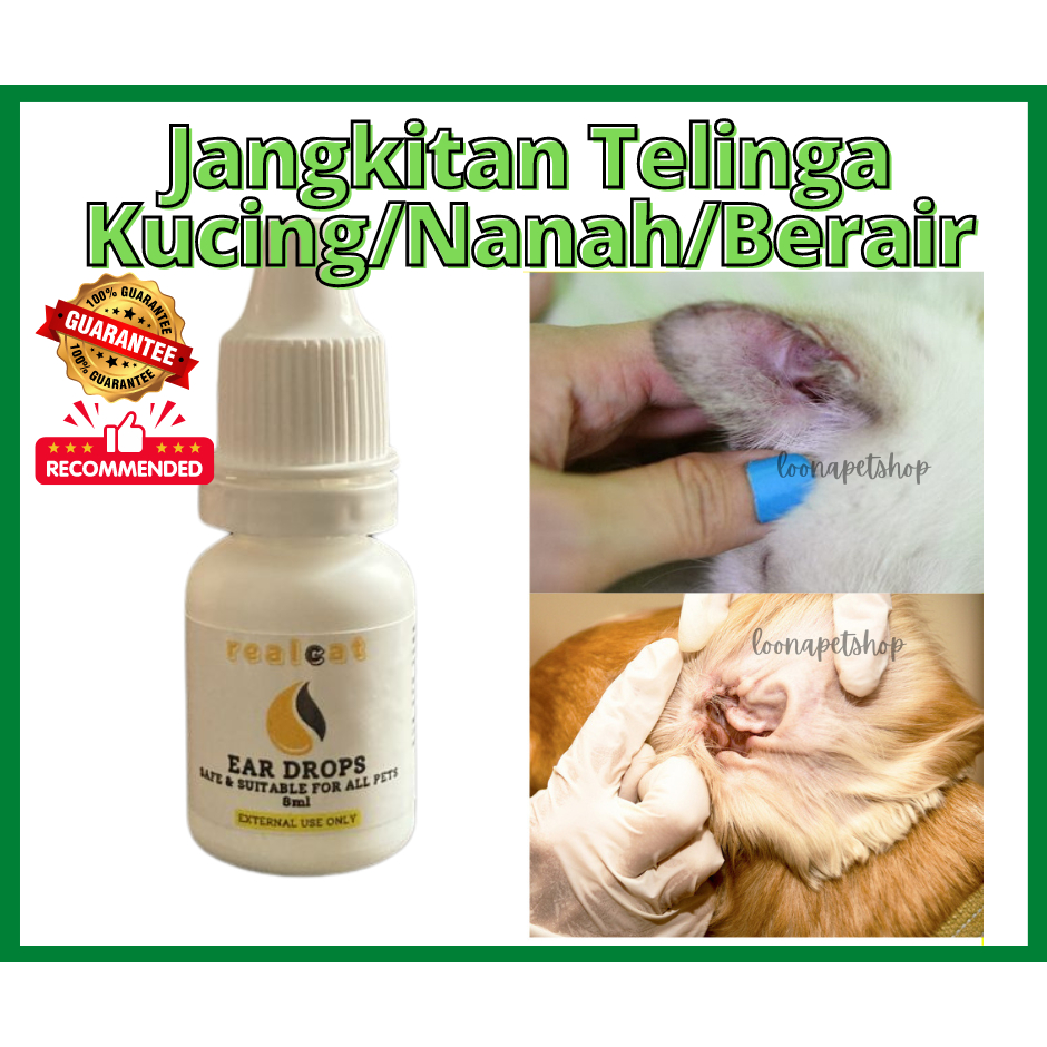 Ubat Telinga Kucing Ubat Sakit telinga Kucing Bernanah Berair 8ml ...