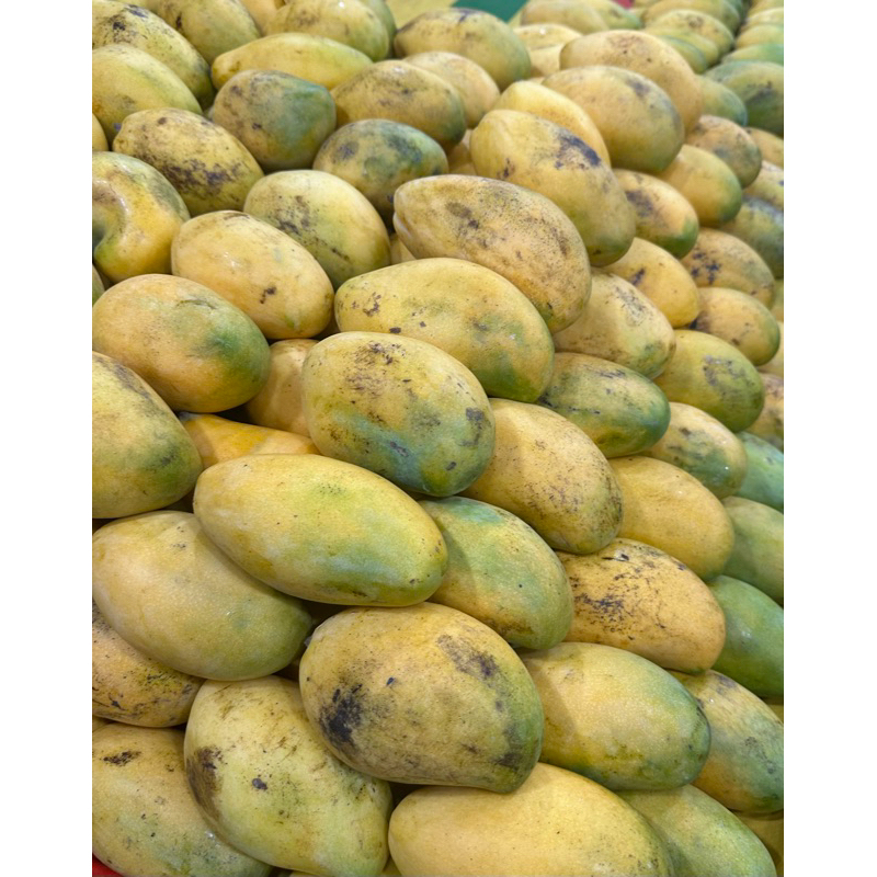 Mempelam Harum manis Ori (Mango) | Shopee Malaysia