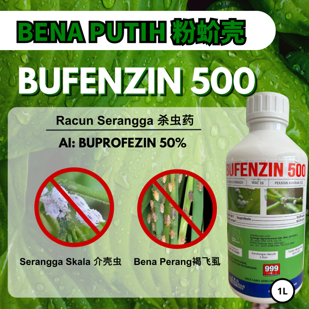 【Racun Bena Putih粉蚧壳/Bena Perang褐飞虱】Bufenzin 1L buprofezin50%/AZATIN（Koya Padi) Same As Tapisan ...