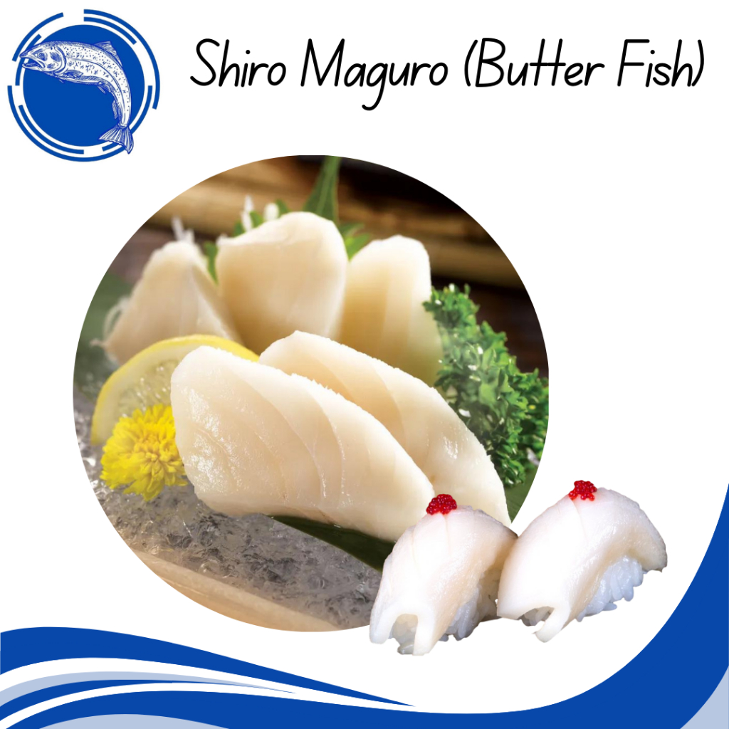 🔥Halal🔥 Shiro Maguro (Butter Fish) Portion Cut 180g+/- | Shopee Malaysia