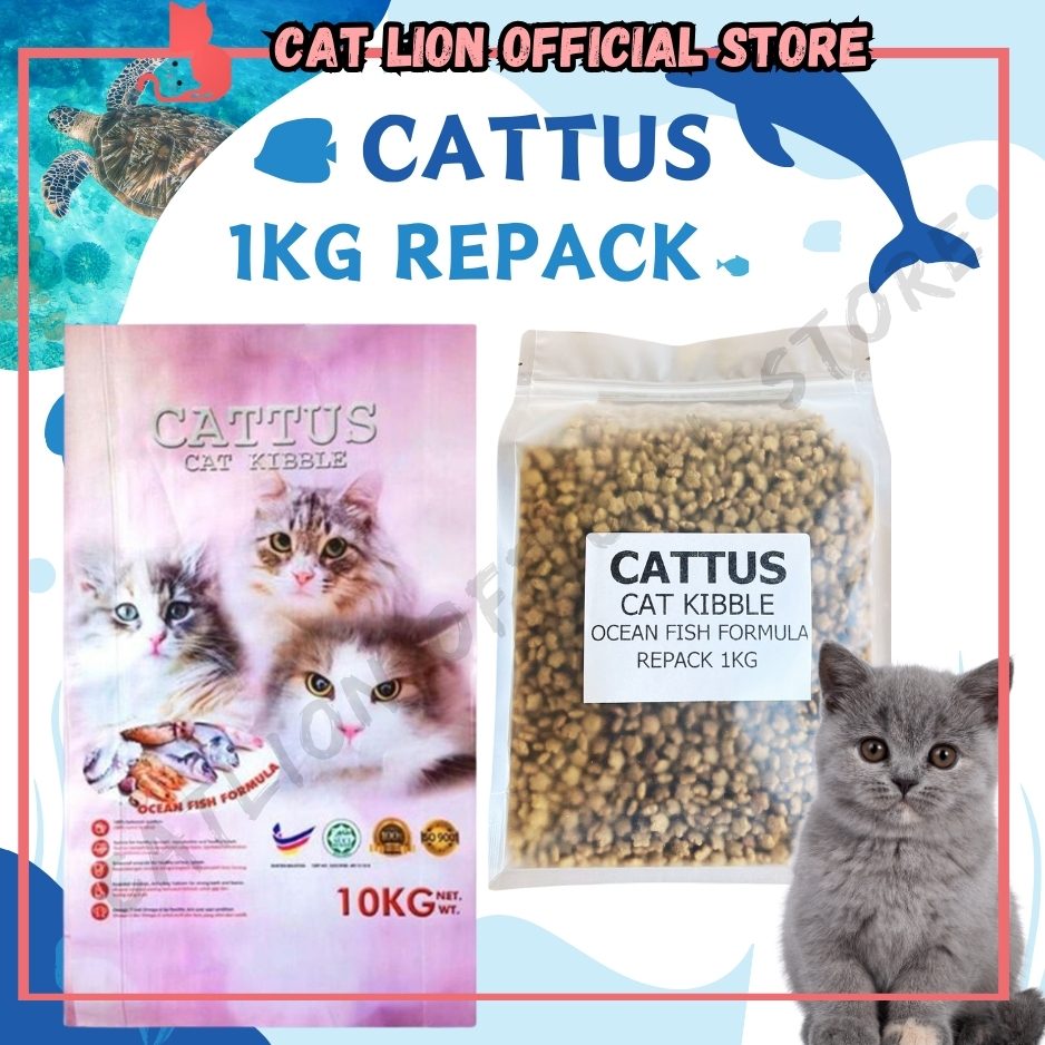 Cattus Repack 1kg Cat Dry Food Ocean Fish Milk Kibbles Makanan Kucing ...