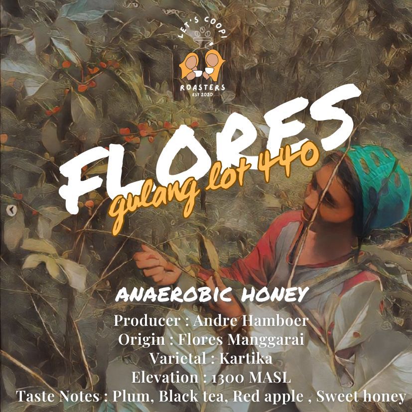 Let's Coopi Specialty - Flores Gulang Lot 440 (Anaerobic Honey ...