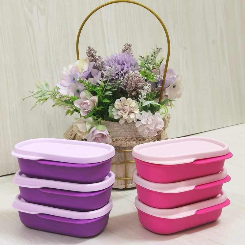 TUPPERWARE FOODIE BUDDY 1 PIECE-120ML( LIQUID AND AIR TIGHT) | Shopee ...