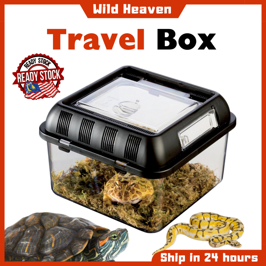 Reptile Travel Box Plastic Breeding Box Insects Horn Frog Gecko Snake ...