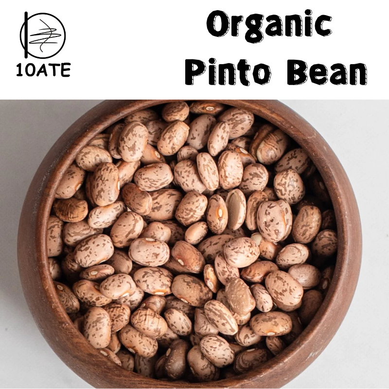 Organic Pinto Bean / Kacang Pinto Organik - 500g | Shopee Malaysia