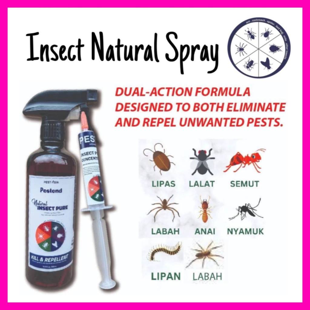 Natural Insect Spray - Safe for Family & Pets / Repels And Kills ...