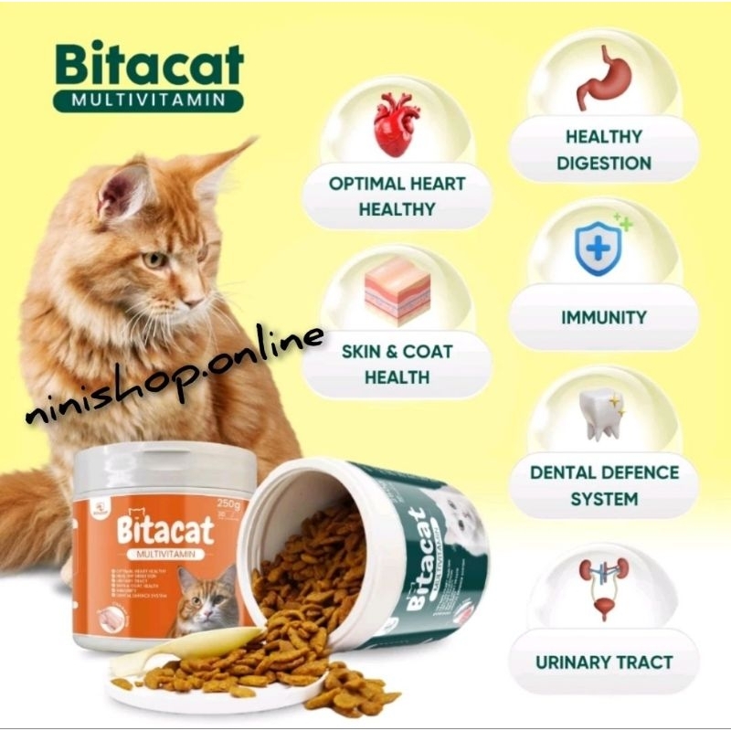 BITACAT VITAMIN KUCING ( Freegift + Ready stock) | Shopee Malaysia