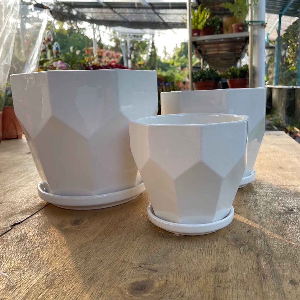 H2O - [White Classic Ceramic Pot - Small Size] 白色陶瓷花盆 【小号盆】Pasu Seramik ...