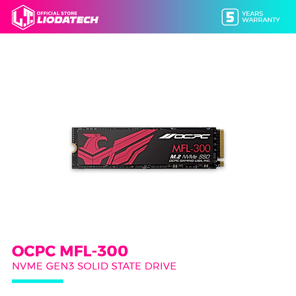 OCPC MFL-300 PCIe Gen 3 M.2 NVMe SSD (256GB / 512GB) | Shopee Malaysia