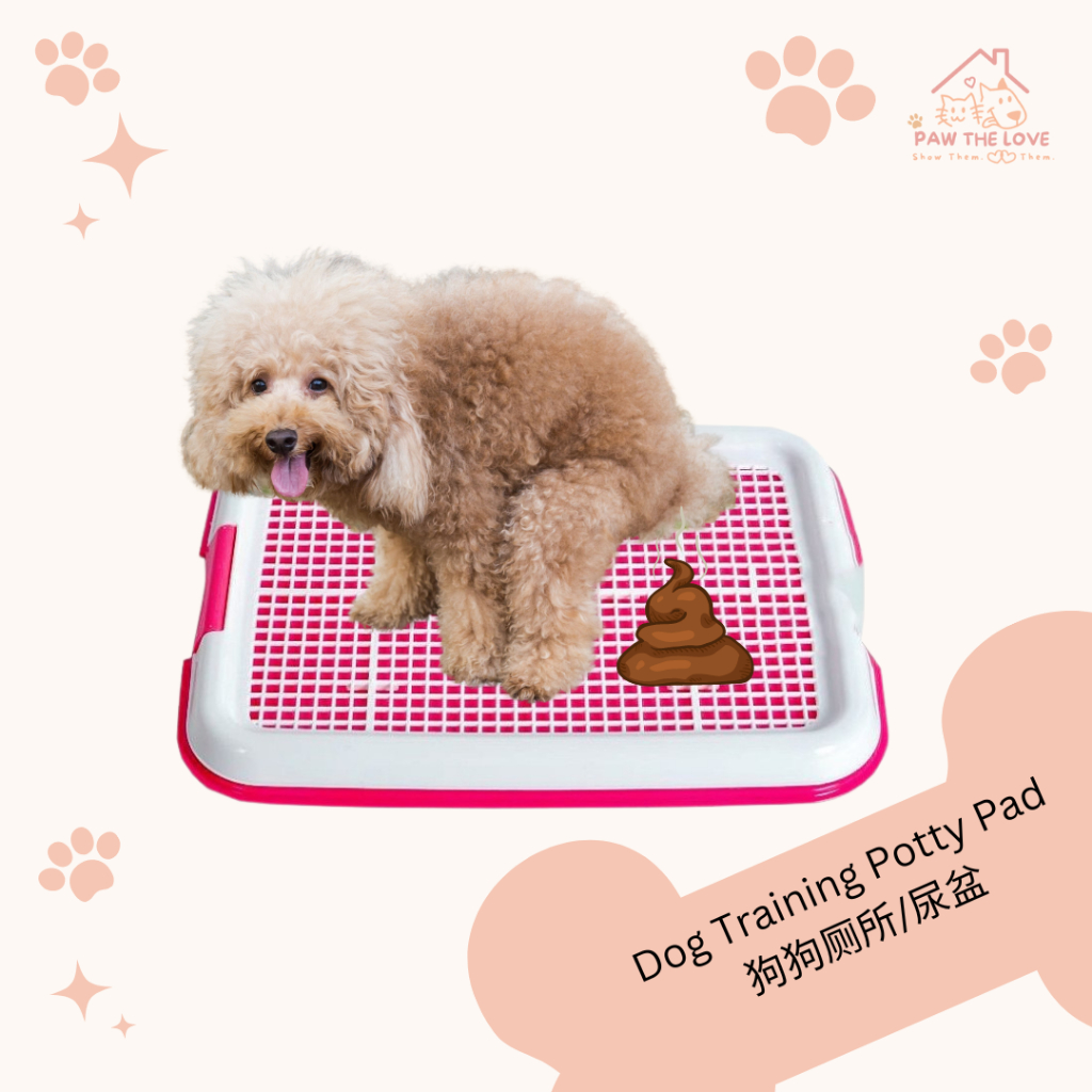 Dog Training Potty Pad Dog Toilet Tray Non-Slip Dog Potty Tray Dog Pad 狗狗厕所 狗狗尿盆 | Shopee Malaysia