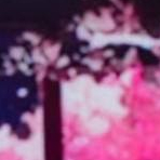 Babyface Studio - Bath Series - Reiju One Piece Resin Statue GK Anime ...