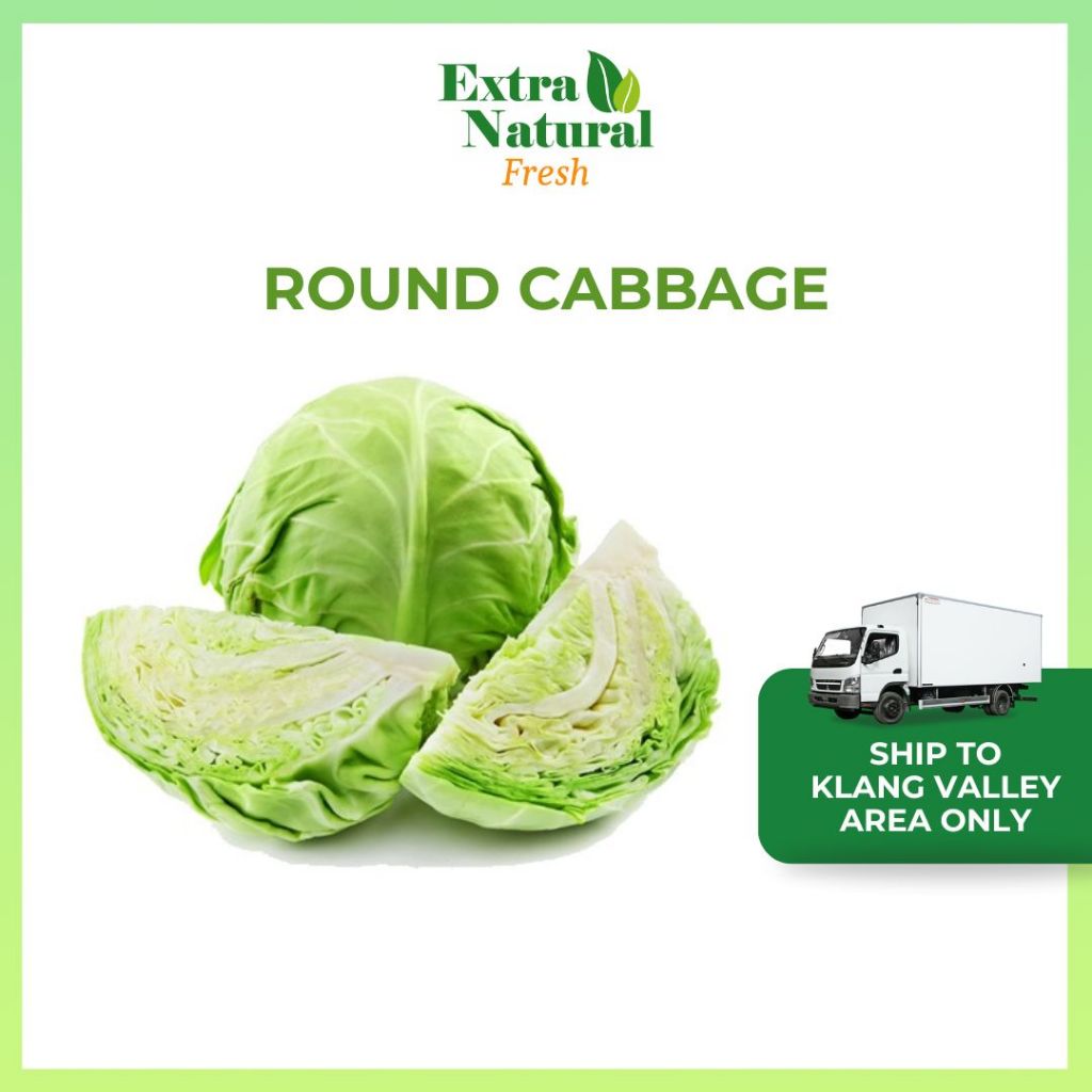 Fresh Round Cabbage 1pcs (+/-1kg) |Fresh Vegetable| [Extra Natural ...