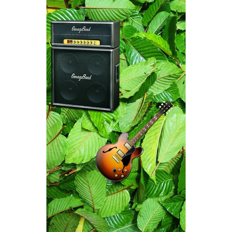 Daun Teh Kampung Urt Merah, Sakit perut dan urat 750g | Shopee Malaysia