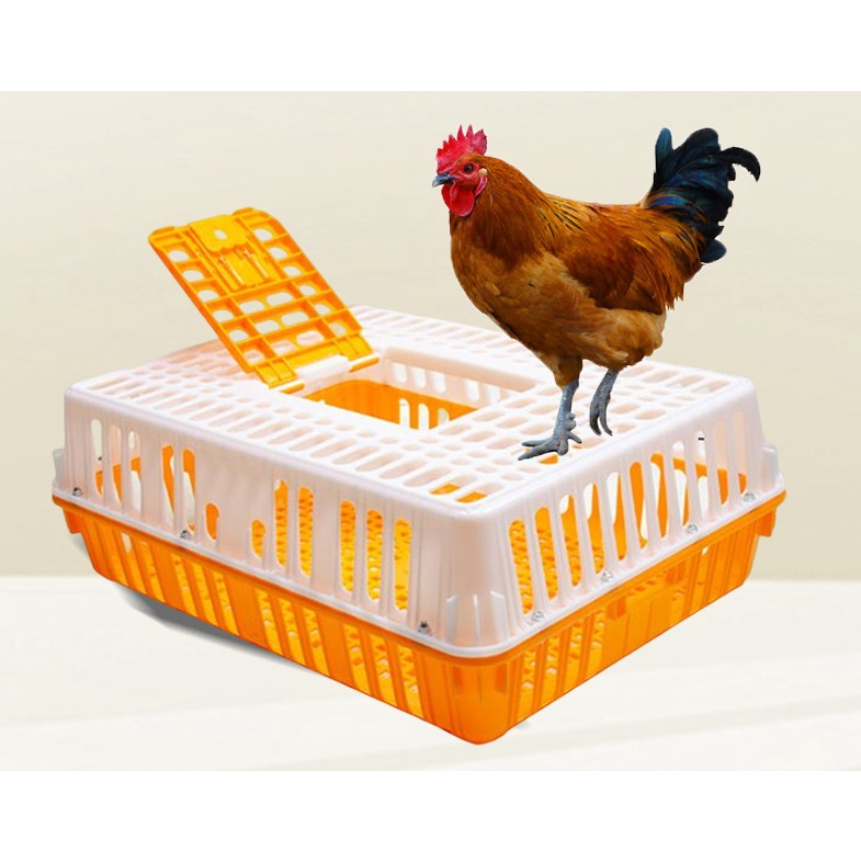 Bakul Ayam Plastik Tebal Solid Chicken Cage Transport Poultry Box Bakul ...