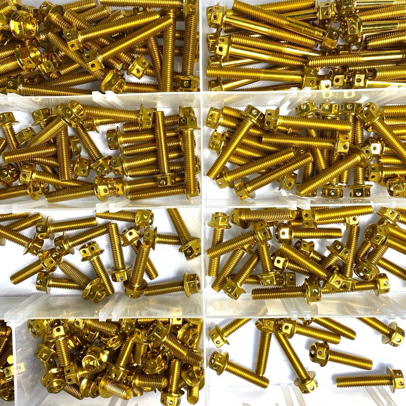 1PCS SKRU M8 SAIZ 12 thread 8mm TITANIUM CROME GOLD CHROME STAR ...