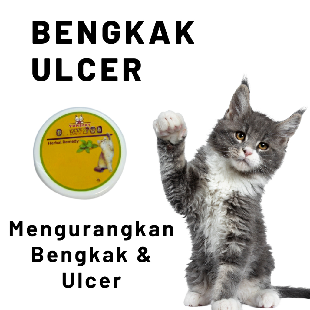 CATHERO Ulcer / Bengkak / Bisul / Kencing Berdarah Kucing & Anjing ...