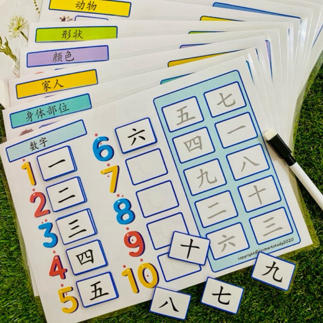 110 Chinese Literacy Book·华文识字黏贴卡】华文版 Chinese｜10大主题｜Busy Book｜Literacy ...