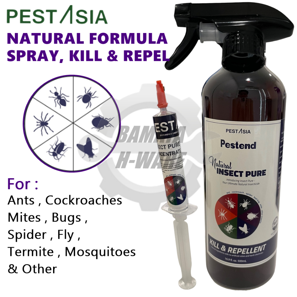 ECO Natural Insect Spray & Repel Multipurpose Insects Spray for Spider ...