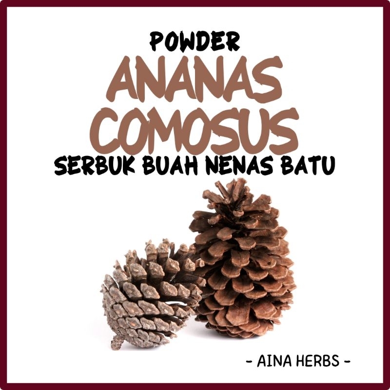 HSK [50g] SERBUK NENAS BATU DALAM BOTOL | PINE CONE ANANAS COMOSUS ...