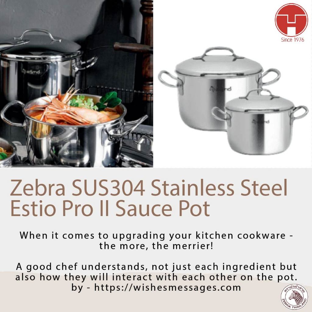 [TeoHin] Zebra SUS304 Stainless Steel Estio Pro II Sauce Pot 18cm ...