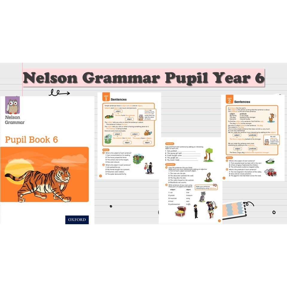[PRE422] 67 pages Nelson Grammar Pupil Book 6 Year 6 Workbook Worksheet ...