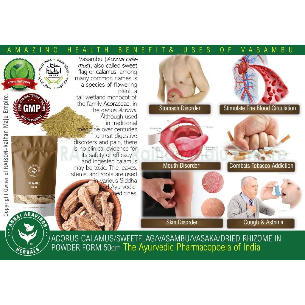 ACORUS CALAMUS/SWEETFLAG/VASAMBU/VASAKA/DRIED RHIZOME IN POWDER FORM ...